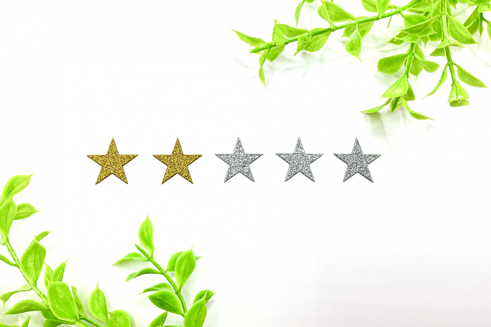 ANDPLANTS（アンドプランツ）とは？魅力やデメリットを解説！｜シュミー